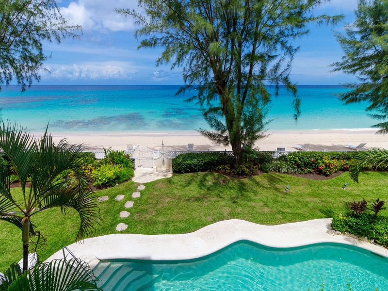 Old Trees 6 - Firefly, Paynes Bay, Barbados