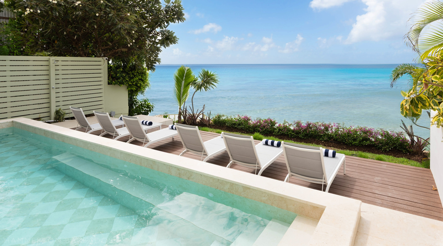 Calico, Prospect, Barbados