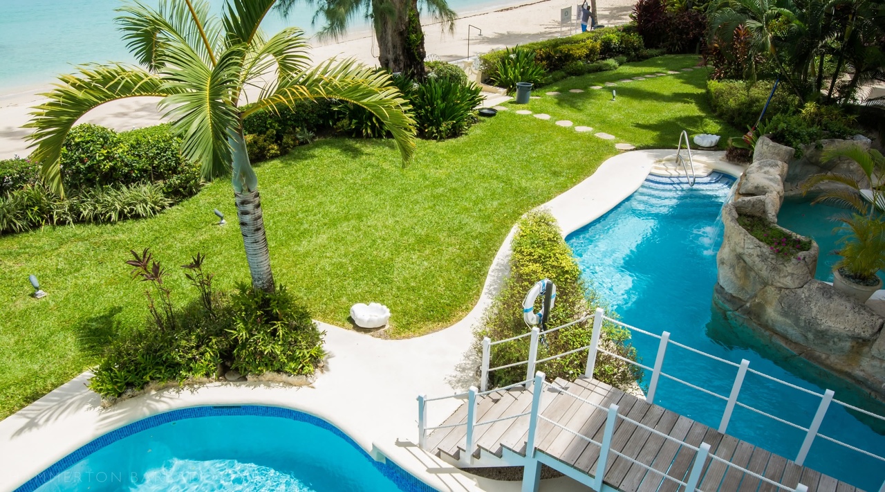 Old Trees 6 – Firefly, Paynes Bay, Barbados