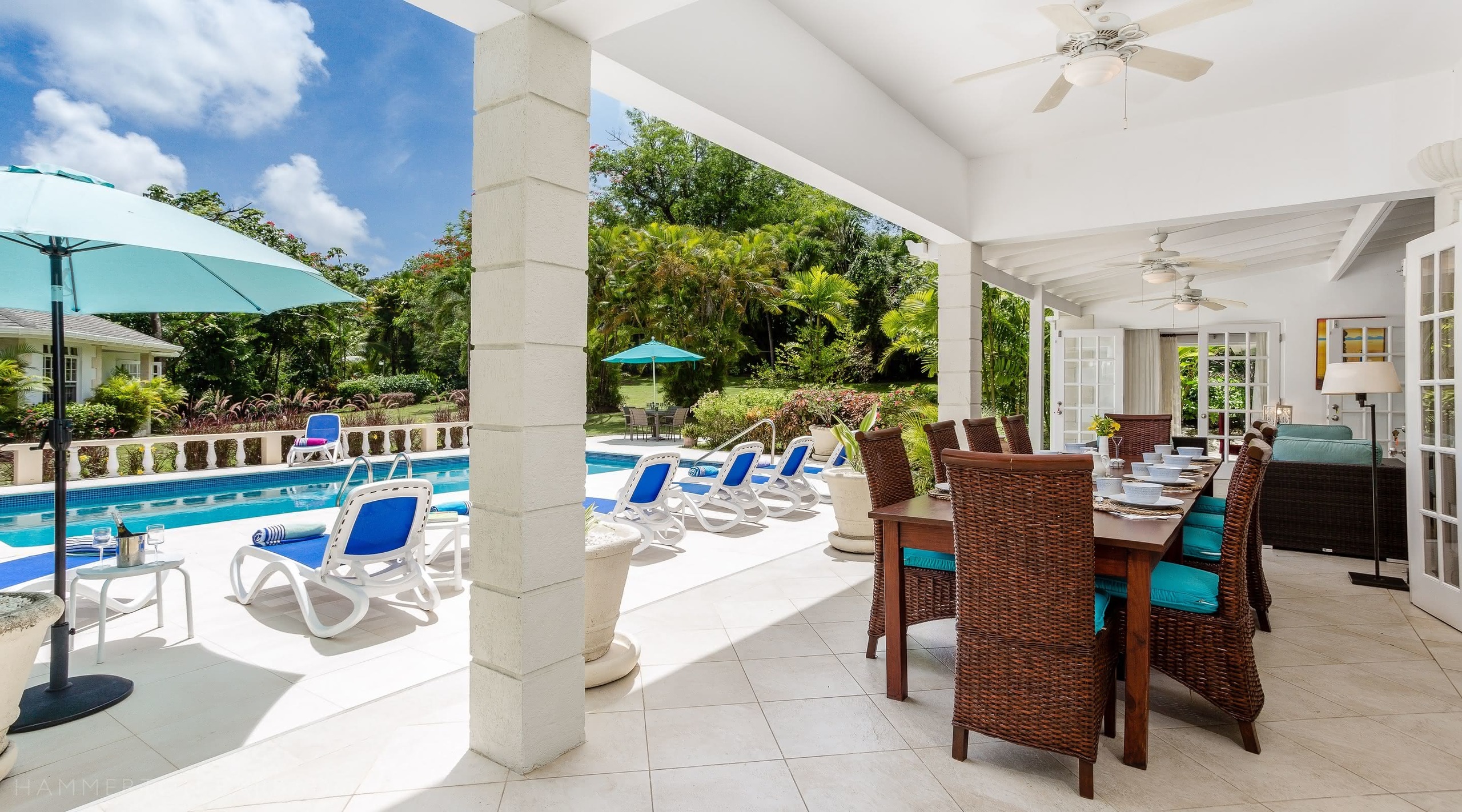 Rose of Sharon, Sandy Lane, Barbados