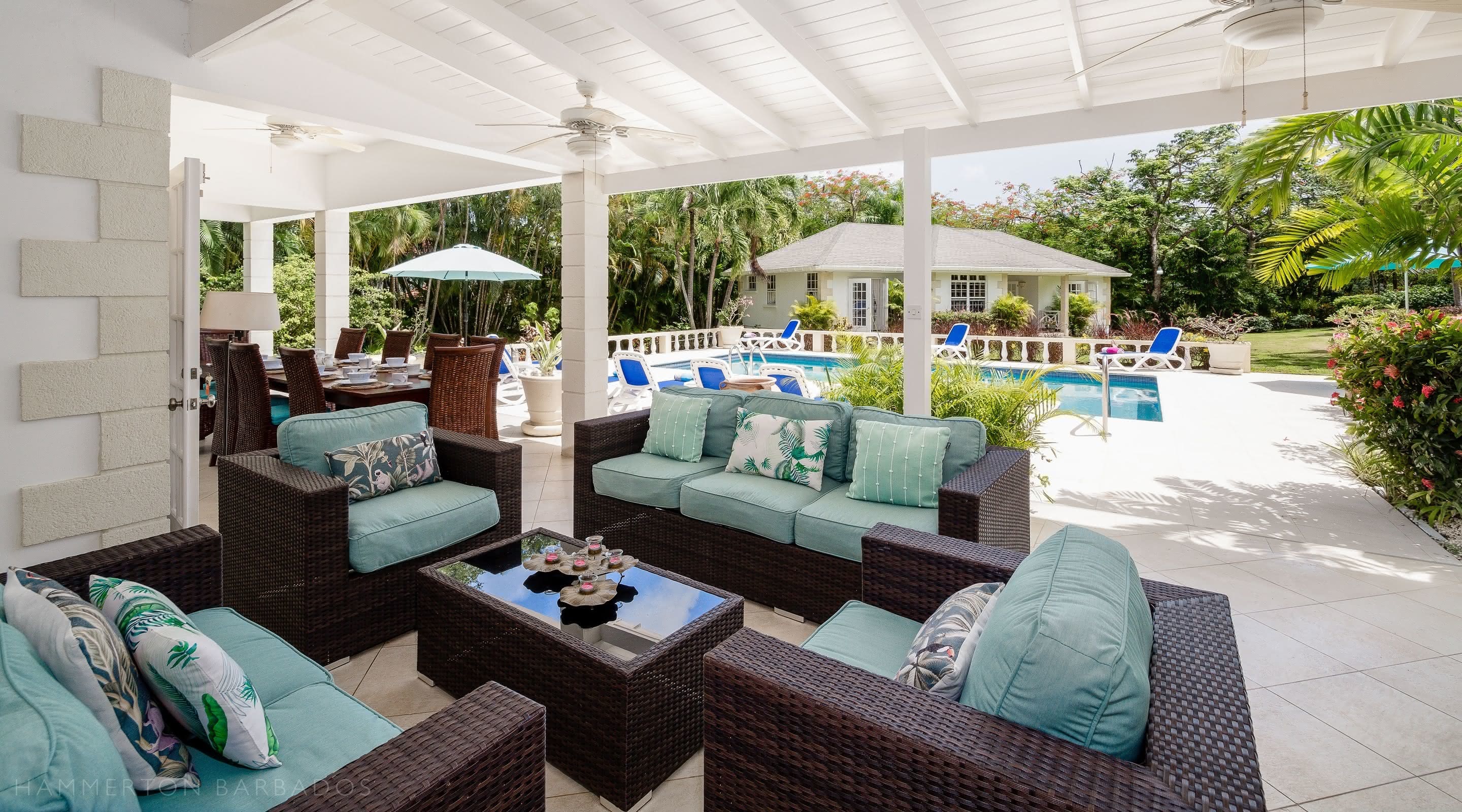 Rose of Sharon, Sandy Lane, Barbados