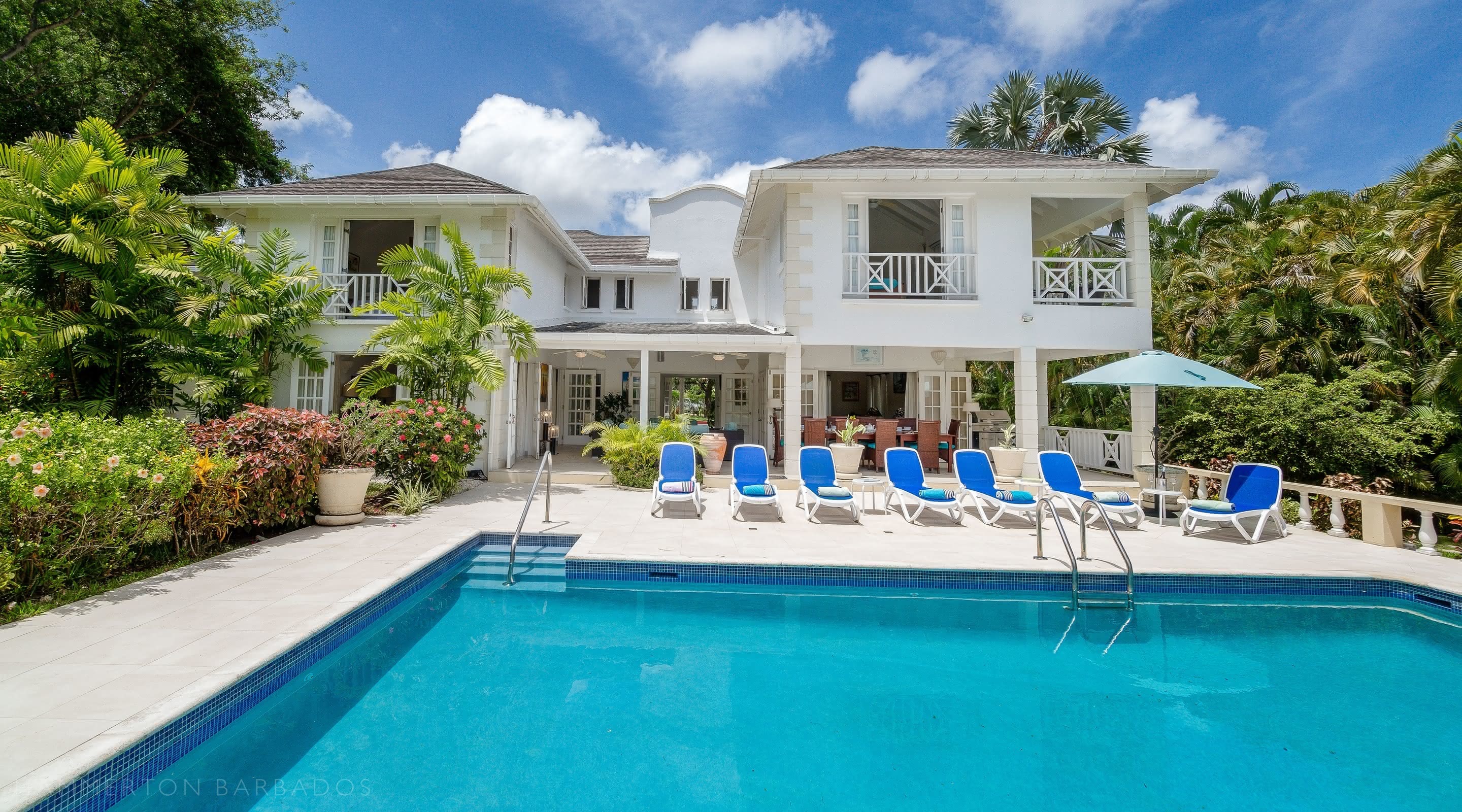 Rose of Sharon, Sandy Lane, Barbados