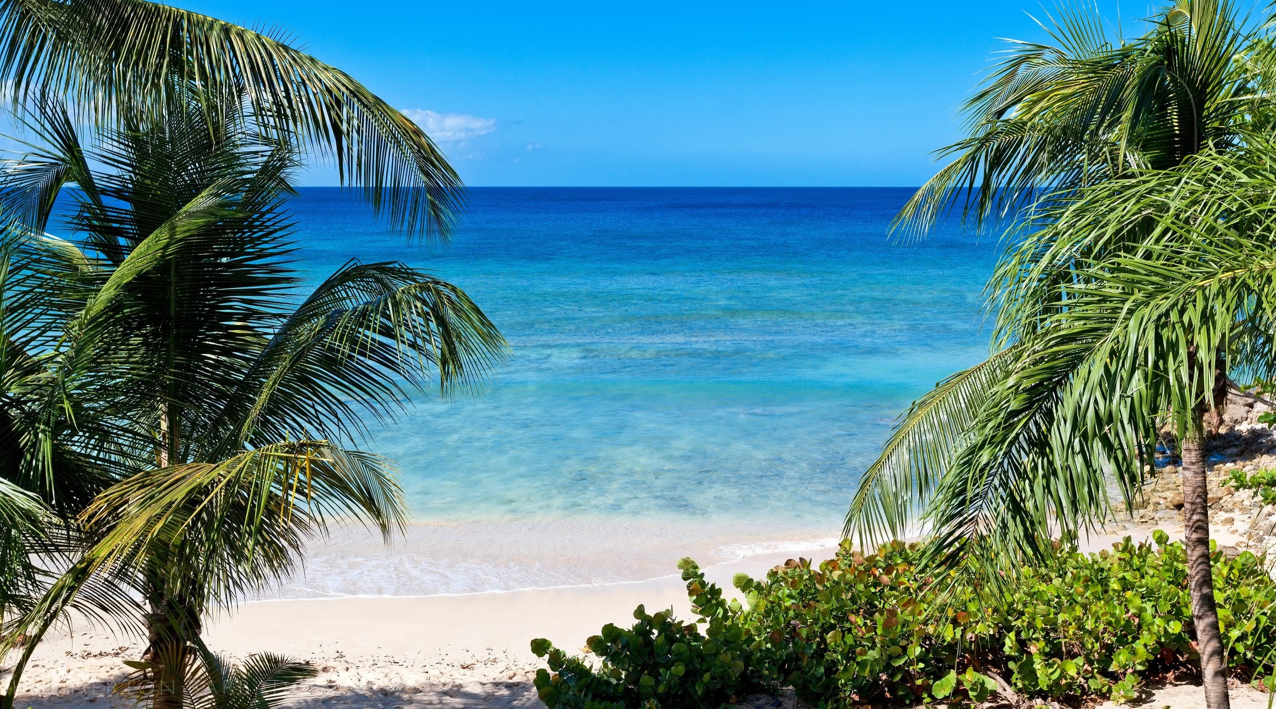 Schooner Bay 201 – Flamboyant, Speightstown, Barbados